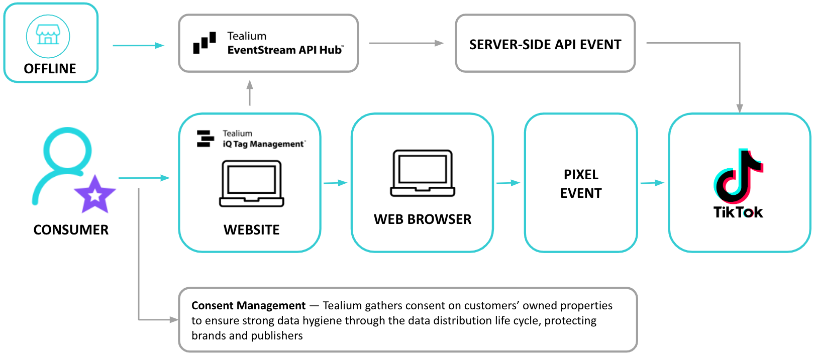 Better Together: TikTok and Tealium | Tealium